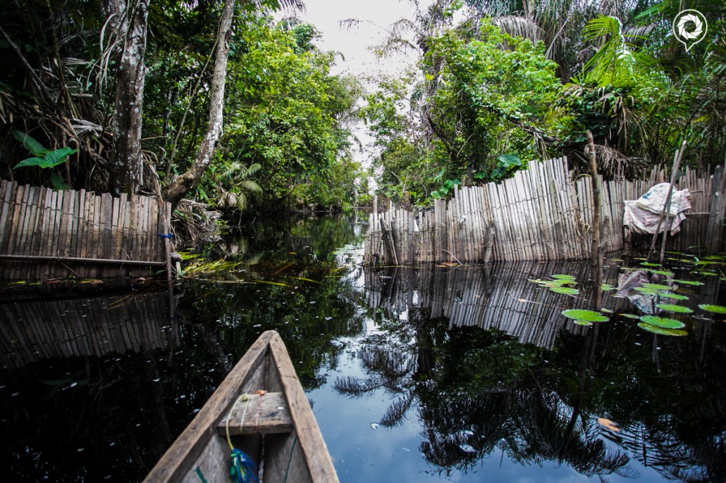 Journey to Stilt Village. Nzulezu - Team1000words | Ghana - Africa ...